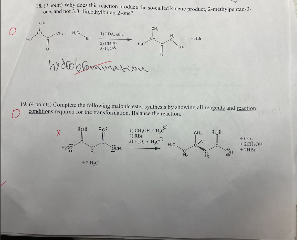 Solved 18. (4 point) Why does this reaction produce the | Chegg.com
