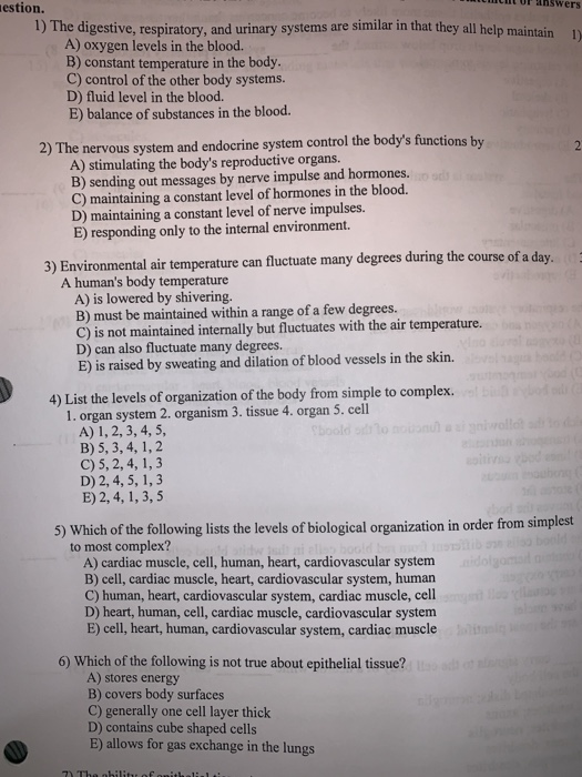 Gizmos Digestive System Answers : Longitudinal Waves Gizmo ...