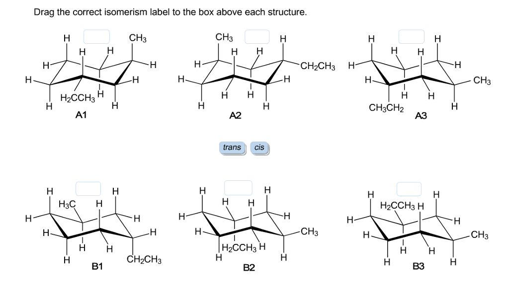 Solved Drag the correct isomerism label to the box above | Chegg.com