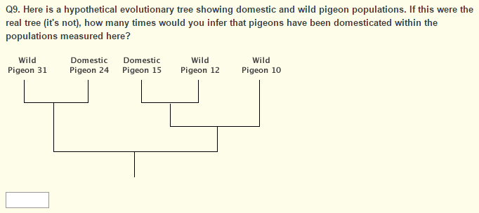 Solved Q9. Here is a hypothetical evolutionary tree showing | Chegg.com