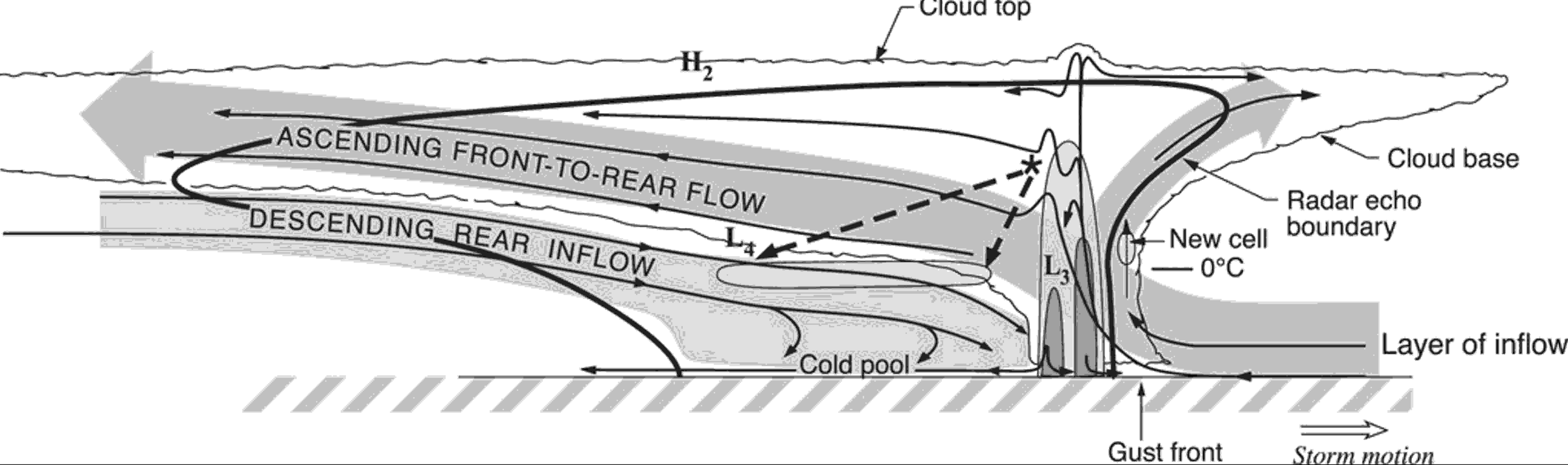 Solved How does a mesoscale convective complex (MCC) ﻿form | Chegg.com