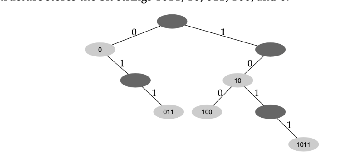 Solved A radix tree is a data structure for efficient | Chegg.com