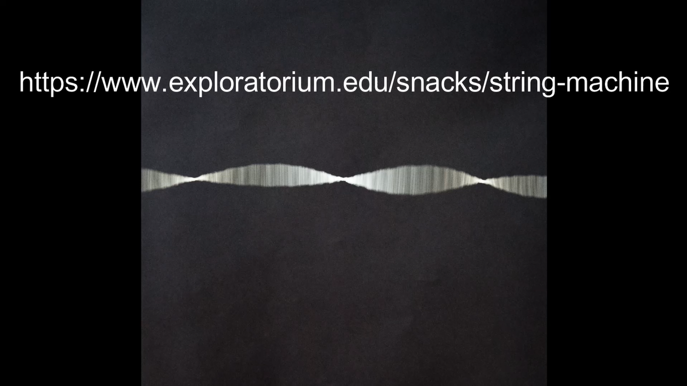 Solved L IRON STAND STRING MECHANICAL VIBRATOR SPRING | Chegg.com