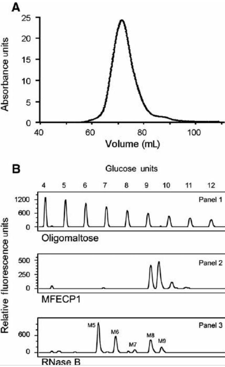Solved А 25 20 15 Absorbance units 10 5 0 40 60 100 80 | Chegg.com