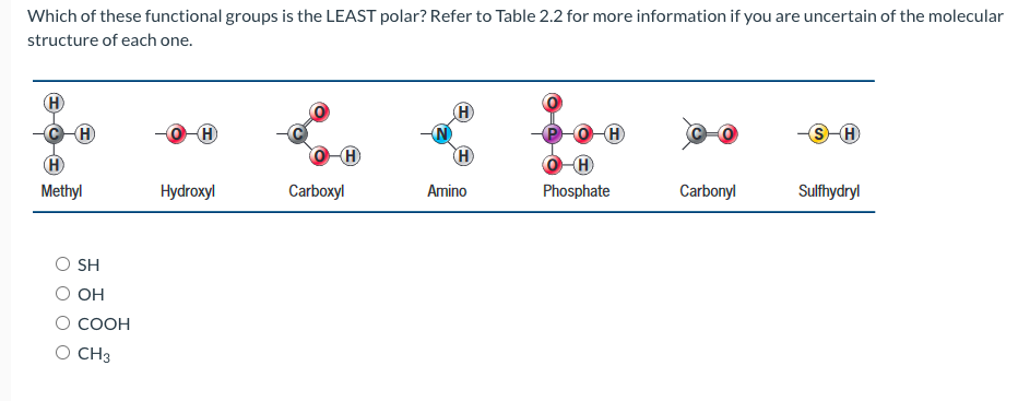 Solved Which of these functional groups is the LEAST polar? | Chegg.com
