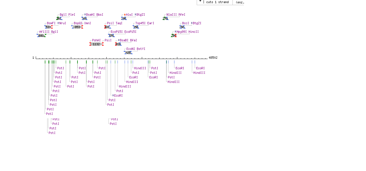 Solved From the picture. For the PstI restriction enzyme | Chegg.com
