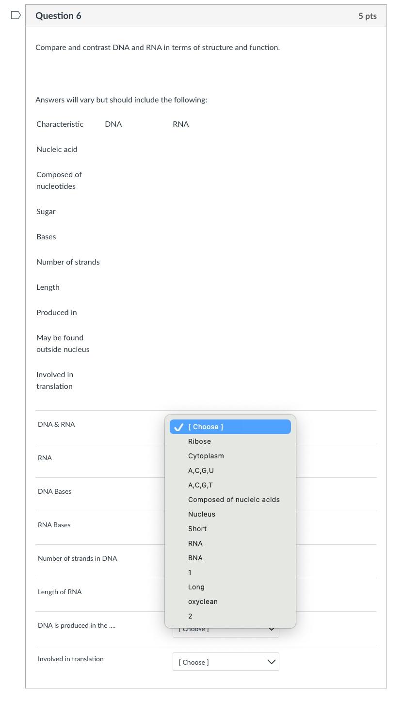 Solved Question 6 5 pts Compare and contrast DNA and RNA in | Chegg.com