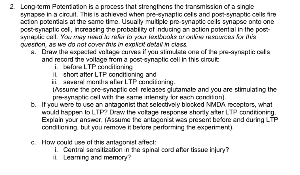 Solved 2. Long-term Potentiation is a process that | Chegg.com