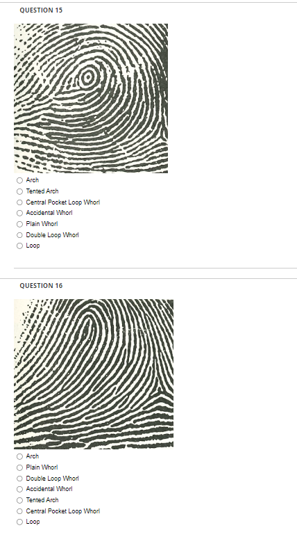 Solved QUESTION 1 Arch Tented Arch Plain Whorl Central | Chegg.com