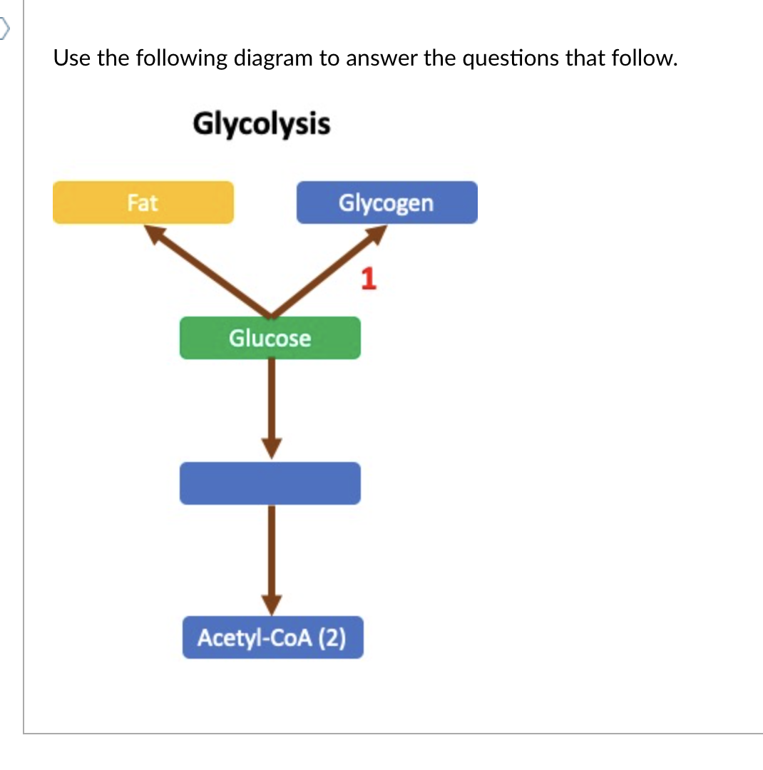 Solved The first pathway in glucose metabolism if | Chegg.com