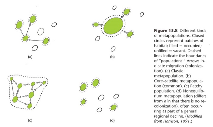 Solved Answer the questions below about metapopulations. | Chegg.com
