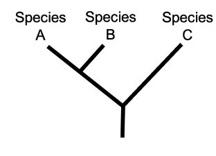 Solved Hand drawn solutions pleaseA)Without redrawing the | Chegg.com