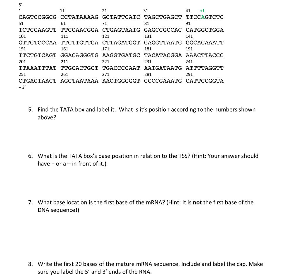 5. Find the TATA box and label it. What is it's | Chegg.com