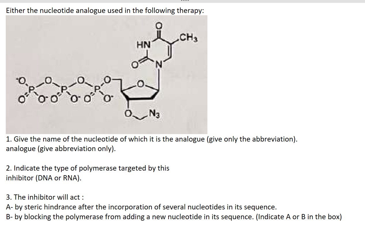 Solved Either the nucleotide analogue used in the following | Chegg.com