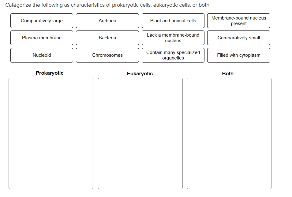 Solved Categorize the following as characteristics of | Chegg.com