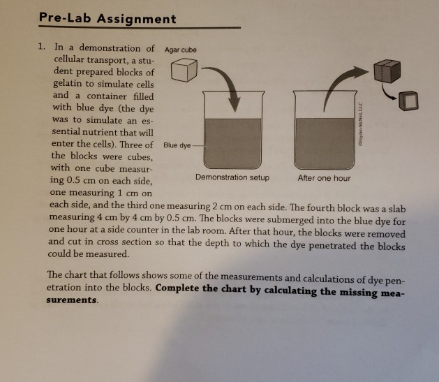 Solved Pre-Lab Assignment 1. In a demonstration of Agar cube | Chegg.com