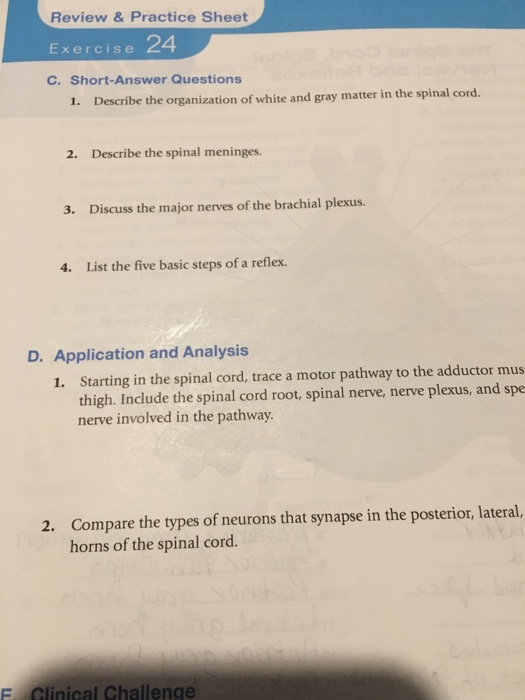 Solved Review & Practice Sheet Exercise 24 C. Short-Answer | Chegg.com