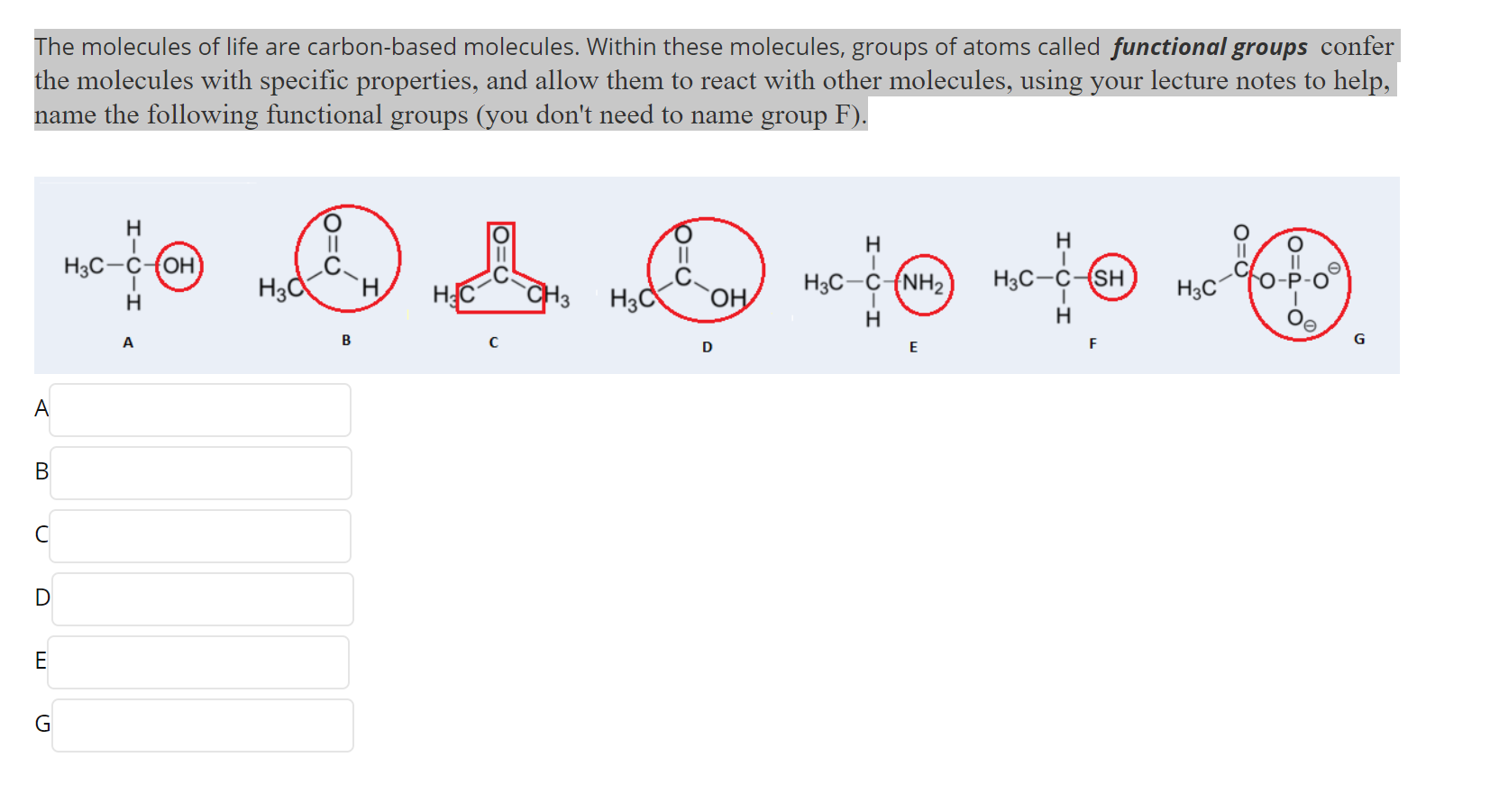 Solved The molecules of life are carbon-based molecules. | Chegg.com