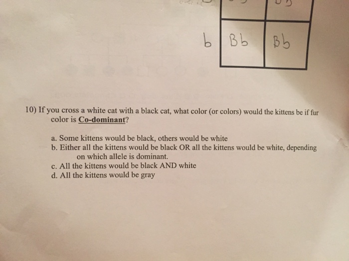 Solved Why are recessive x-linked traits more common in | Chegg.com