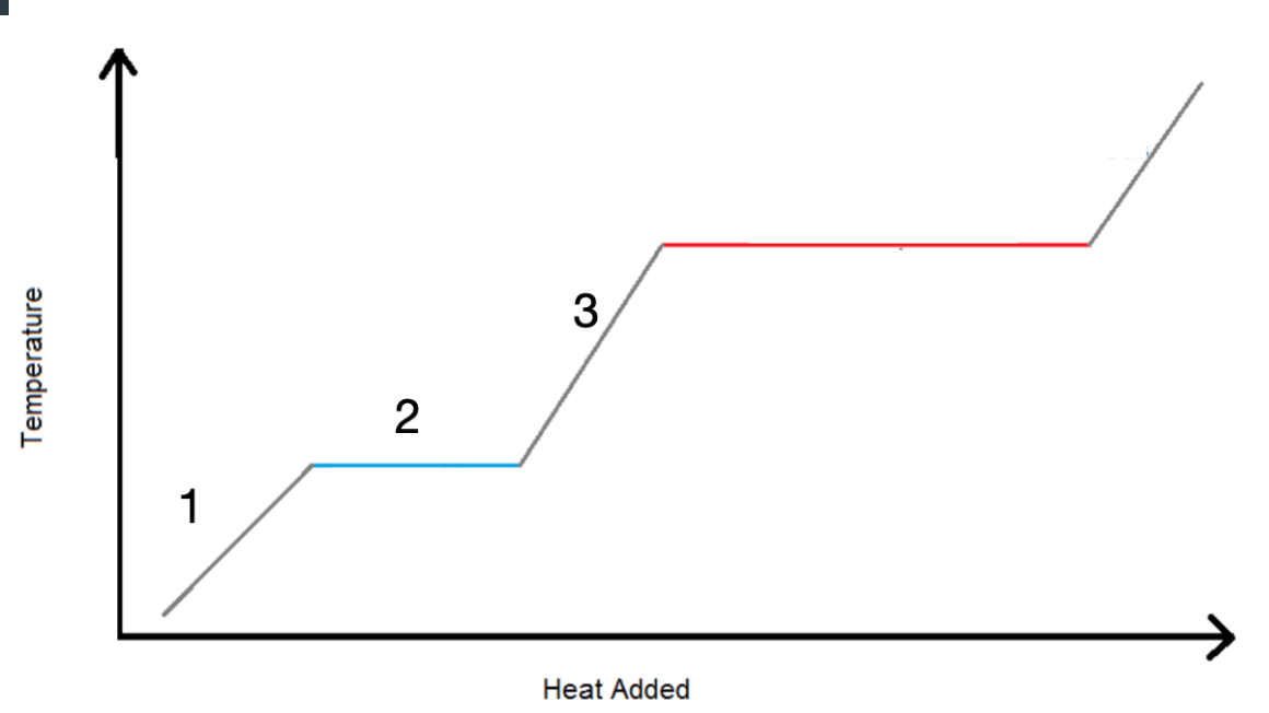 Solved The graph qualitatively shows the temperature of | Chegg.com