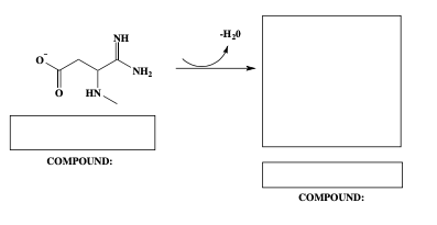 Solved NH -H,0 NH 0 HN. COMPOUND: COMPOUND: | Chegg.com
