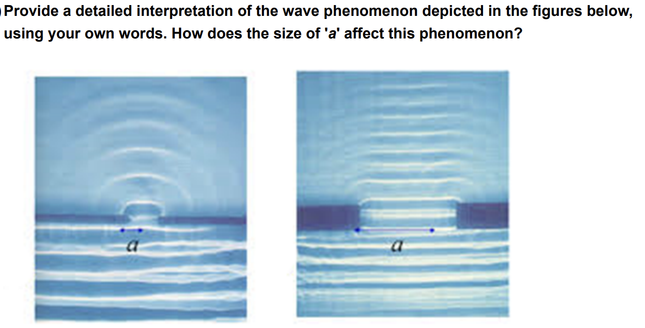 Solved Provide a detailed interpretation of the wave | Chegg.com