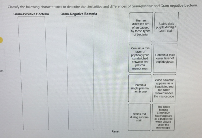 Solved Classify the following characteristics to describe | Chegg.com
