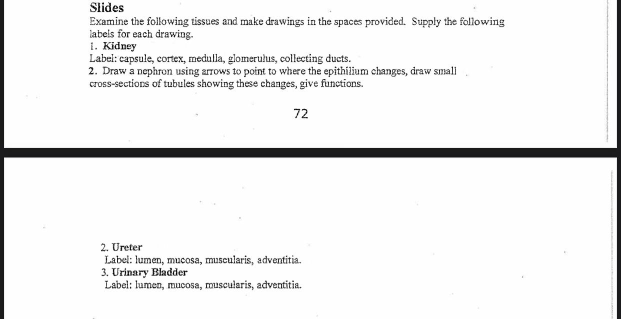 Solved Slides Examine the following tissues and make | Chegg.com