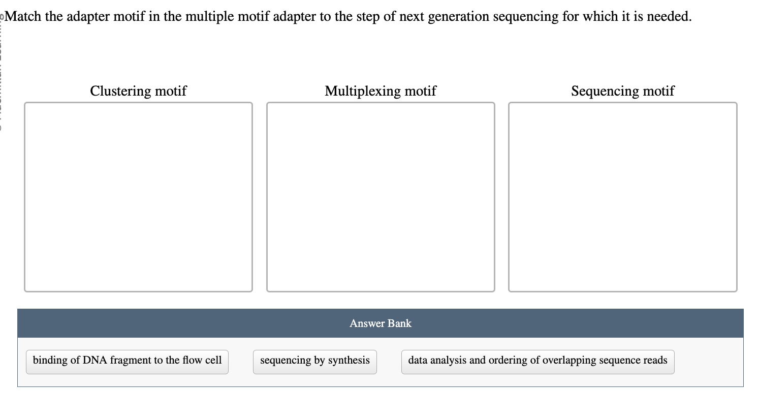 Solved ° ﻿Match the adapter motif in the multiple motif | Chegg.com