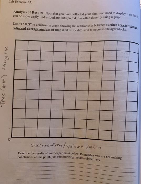 DIFFUSION IN AGAR CUBES LAB ANSWERS