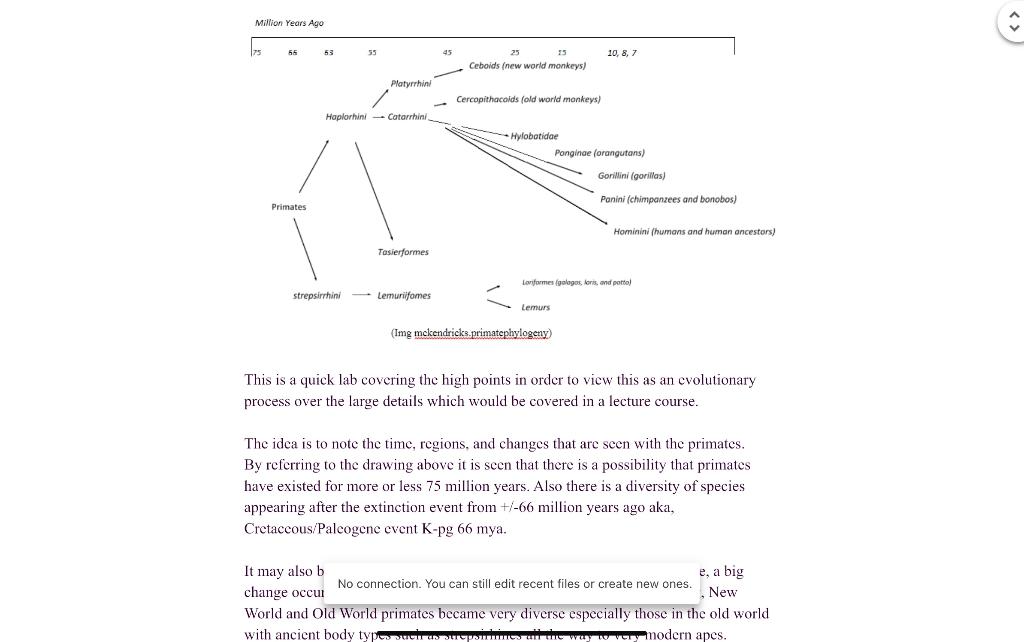 Solved Million Years Ago 55 55 45 10, 8, 7 25 Ceboids (new | Chegg.com