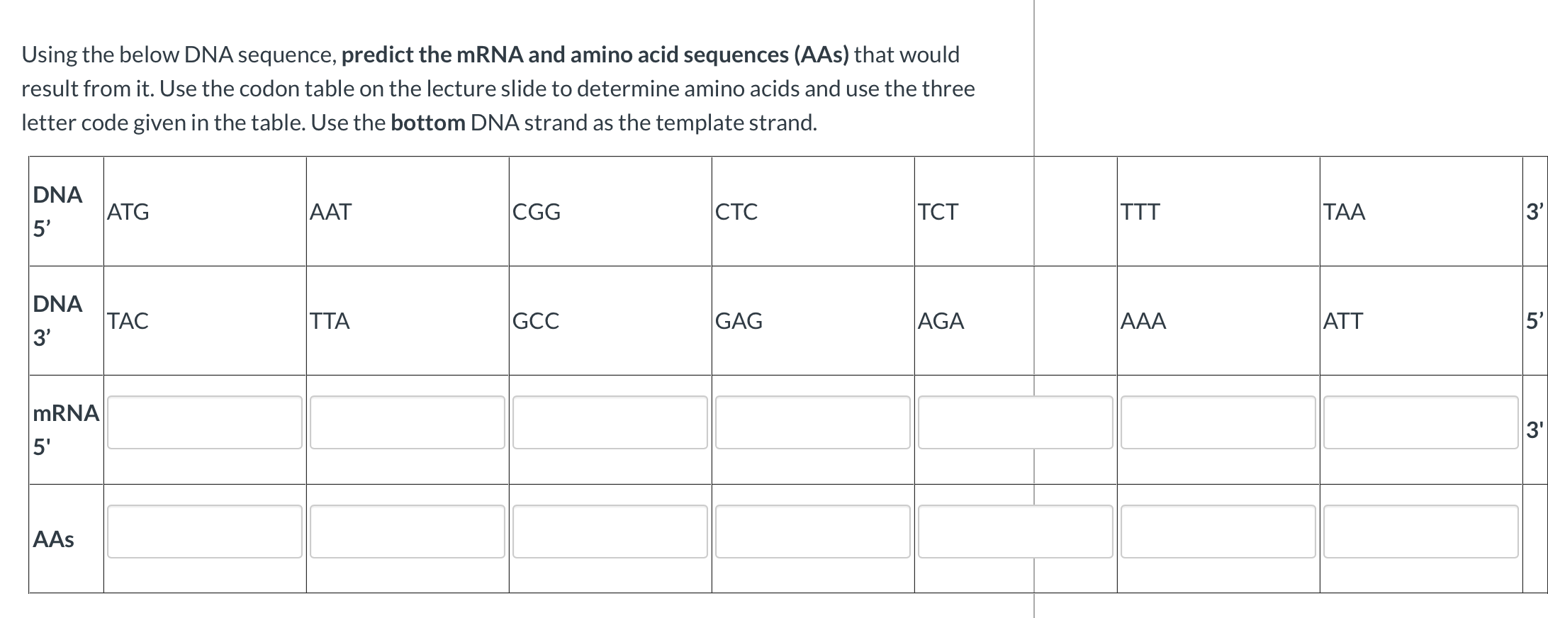 Solved Using the below DNA sequence, predict the mRNA and | Chegg.com