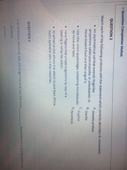 Solved s Question Completion Status: QUESTION 2 Match each | Chegg.com