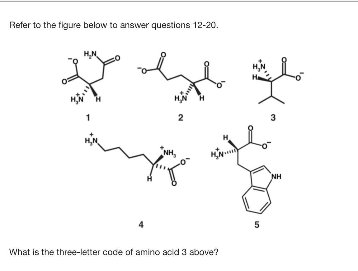 Solved a) What is the single-letter code of amino acid 4 | Chegg.com