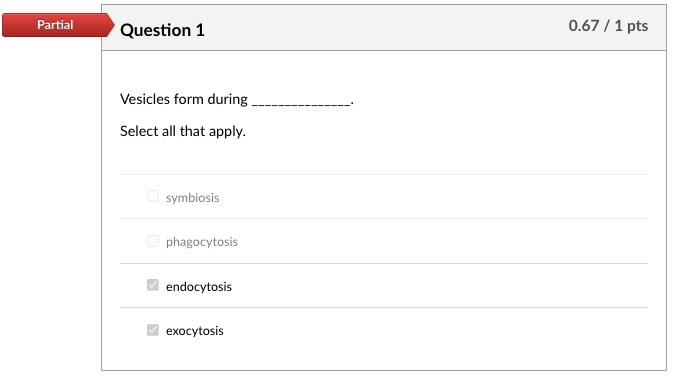 Solved Vesicles form during Select all that apply. symbiosis | Chegg.com