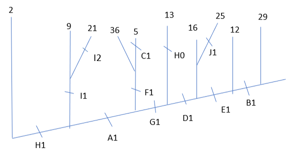Solved How are homoplasies resolved and how does one decide | Chegg.com