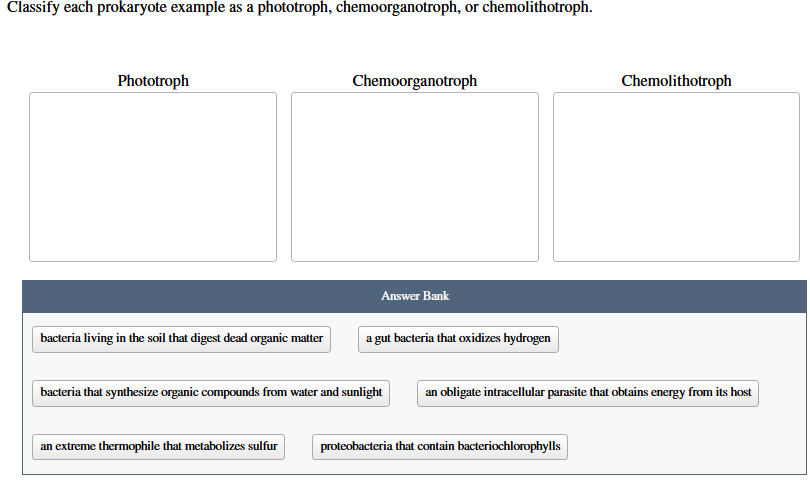 Solved Classify each prokaryote example as a phototroph, | Chegg.com