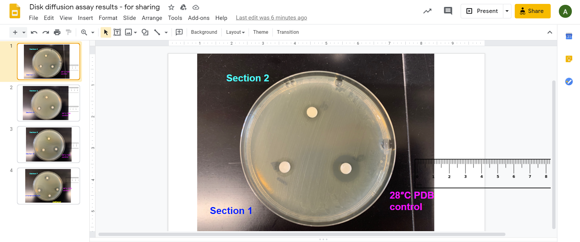 Review the Week 7 Disk diffusion bioassay results | Chegg.com
