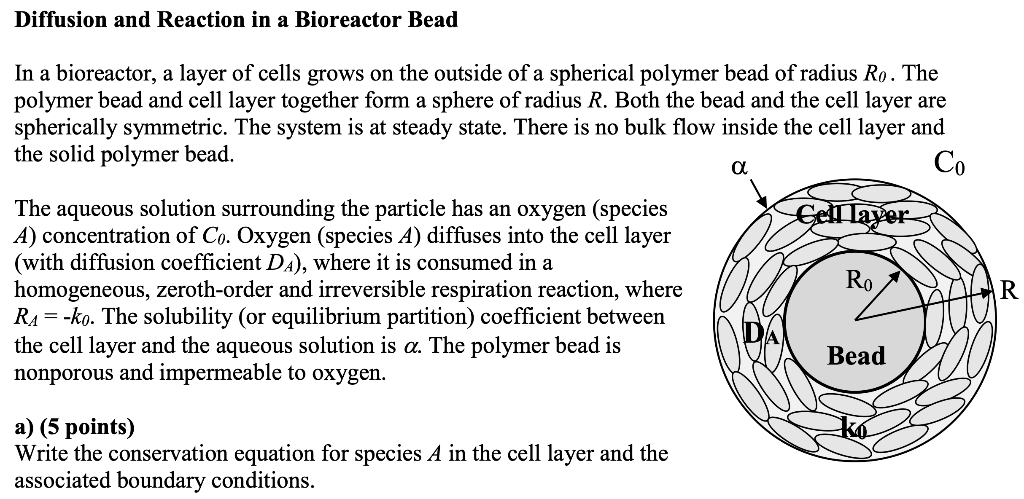 Solved Diffusion and Reaction in a Bioreactor Bead In a | Chegg.com