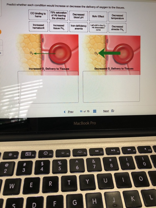 Solved Predict whether each condition would Increase or | Chegg.com
