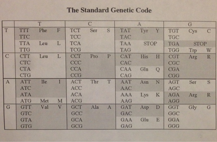 Solved Below are the sequences of wildtype and mutant | Chegg.com