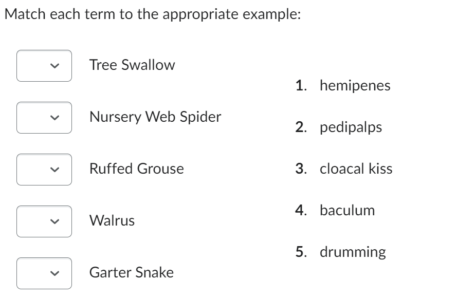 Solved Match each term to the appropriate example: Tree | Chegg.com