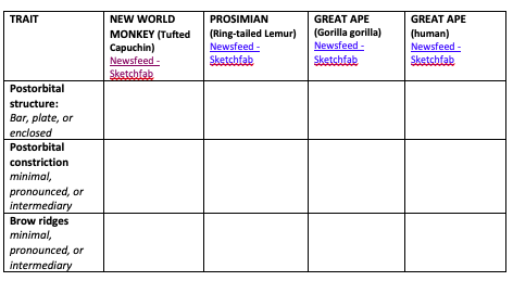 TRAIT Postorbital structure: Bar, plate, or enclosed | Chegg.com