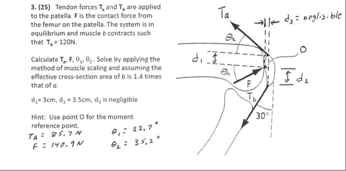 Solved 3. (25) Tendon forces T, and Tb are applied to the | Chegg.com