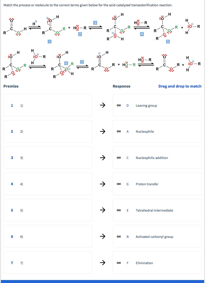 Solved Match the process or molecule to the correct terms | Chegg.com