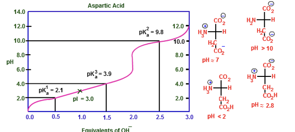 Question 1: Draw a v vs. [S] plot for an uninhibited | Chegg.com