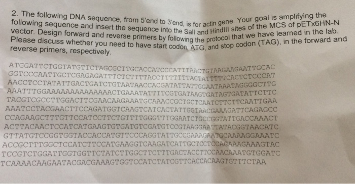 Solved The following DNA sequence, from 5'end to 3' end, is | Chegg.com