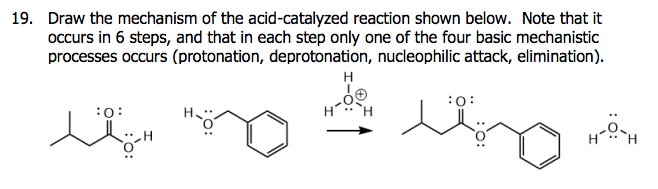 Solved 19. Draw the mechanism of the acid-catalyzed reaction | Chegg.com