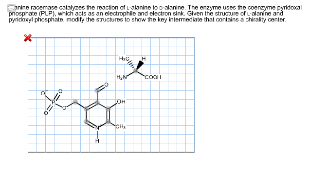 Solved anine racemase catalyzes the reaction of L-alanine to | Chegg.com