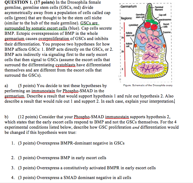 Biology Archive | June 06, 2018 | Chegg.com
